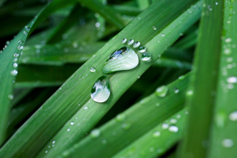 What Is Your Carbon Footprint Fortuna Financial